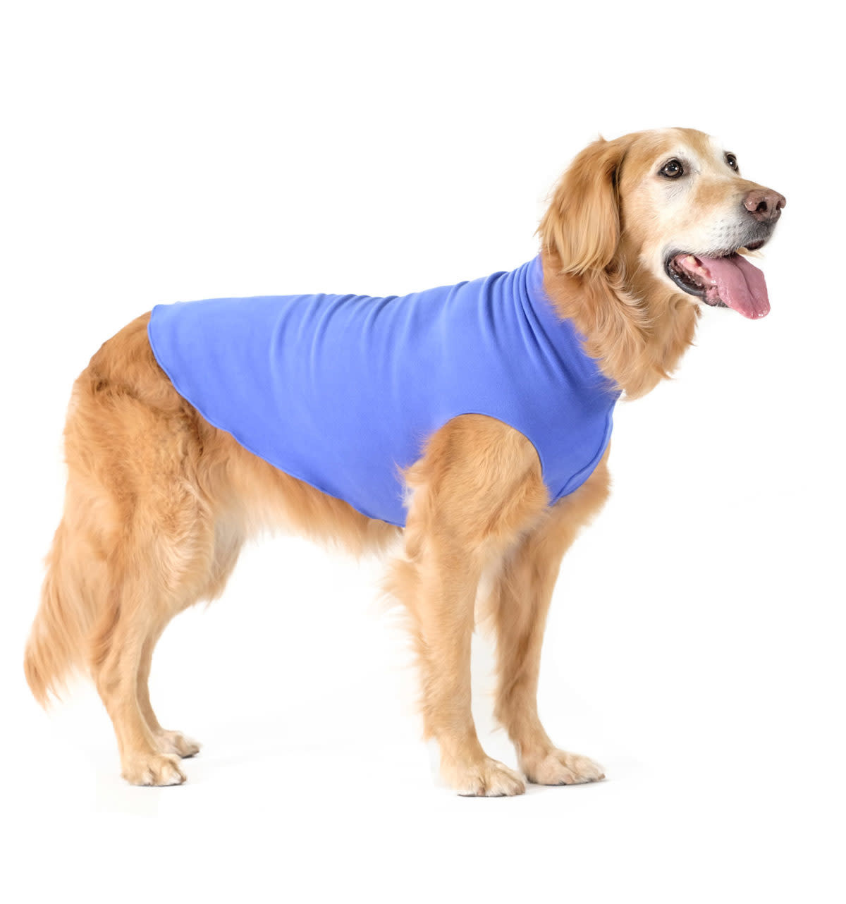 GoldPaw - Stretch Fleece - Cornflower Blue - 10 - Cosmo's Dog Bakery Retail