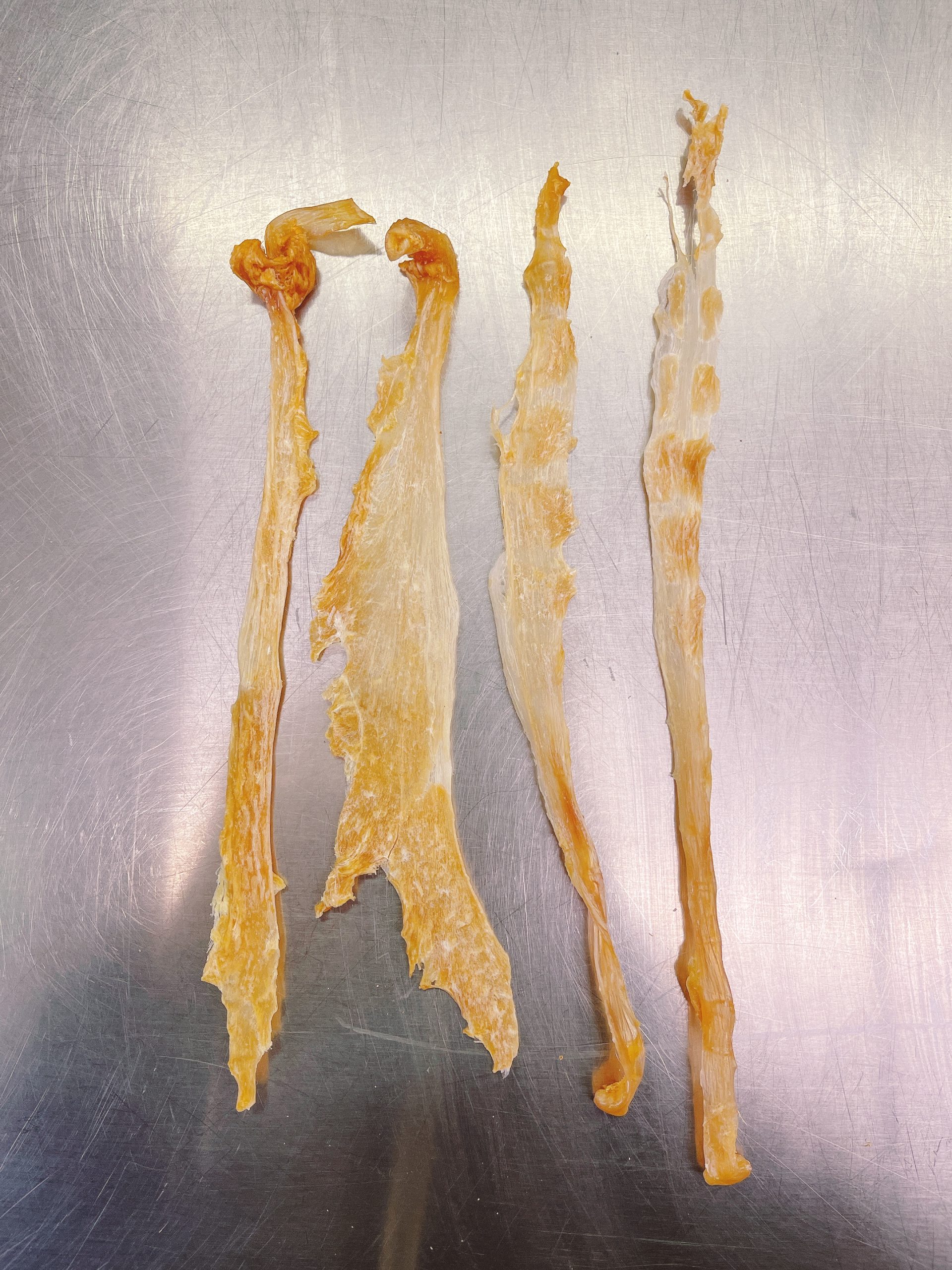 Artvark 3OZ USA TURKEY TENDON STRIPS - Retail Store