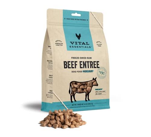 VITAL Essentials Freeze-Dried Raw Dog Food, Beef Mini Nibs Entree ...