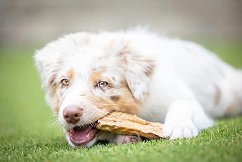 Barking Buddha Peanut Butter Beef Cheek Chips 1lb - Cosmo's Dog Bakery ...